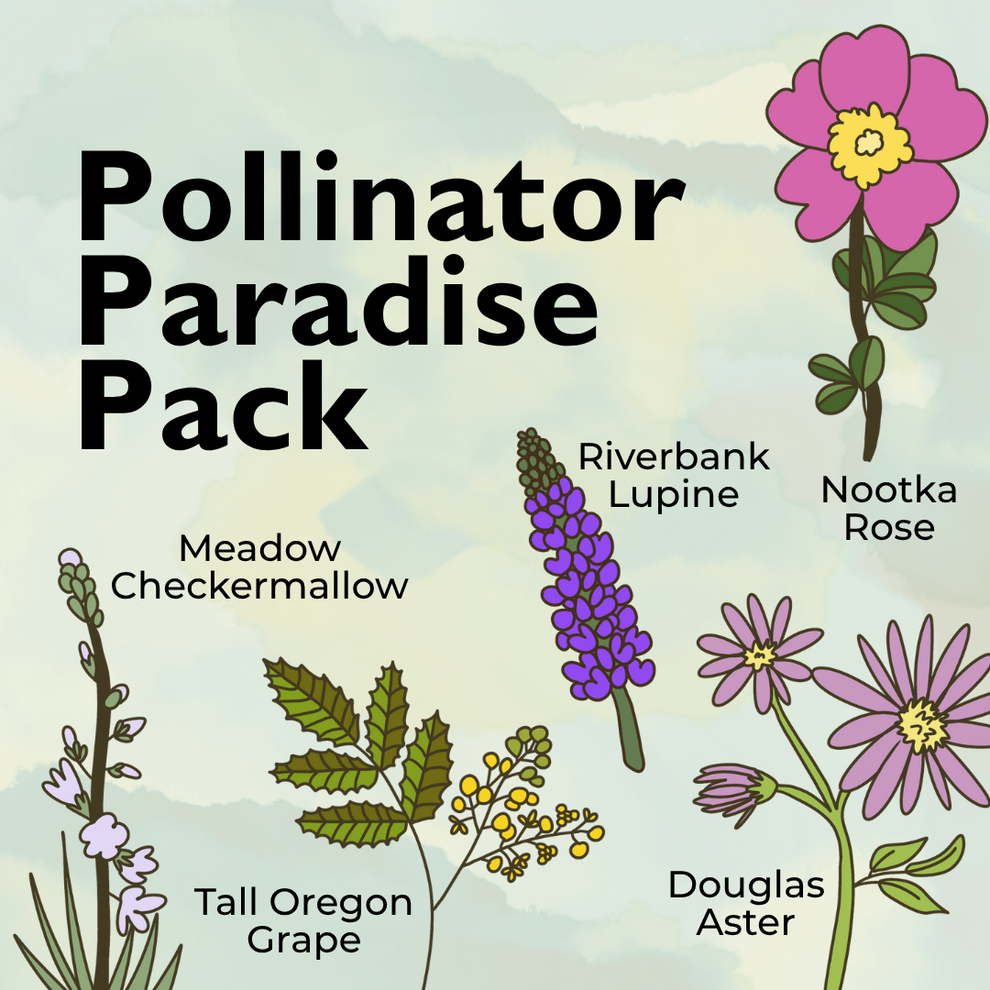 Pollinator Paradise Plant Pack – Clark Conservation District